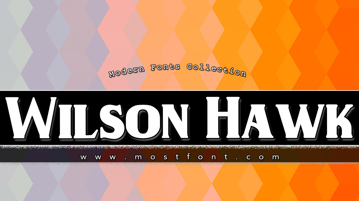 Wilson Hawk Font by Kong Font | mostfont.com