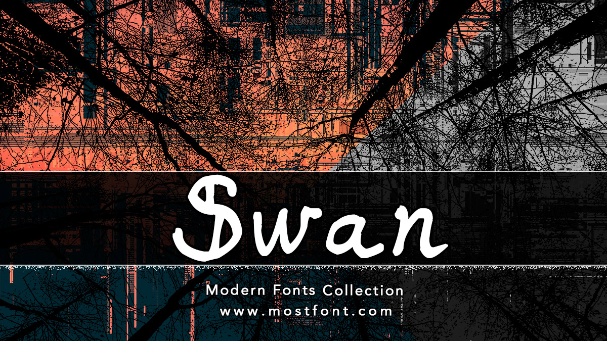 Swan Font by FontPanda | mostfont.com