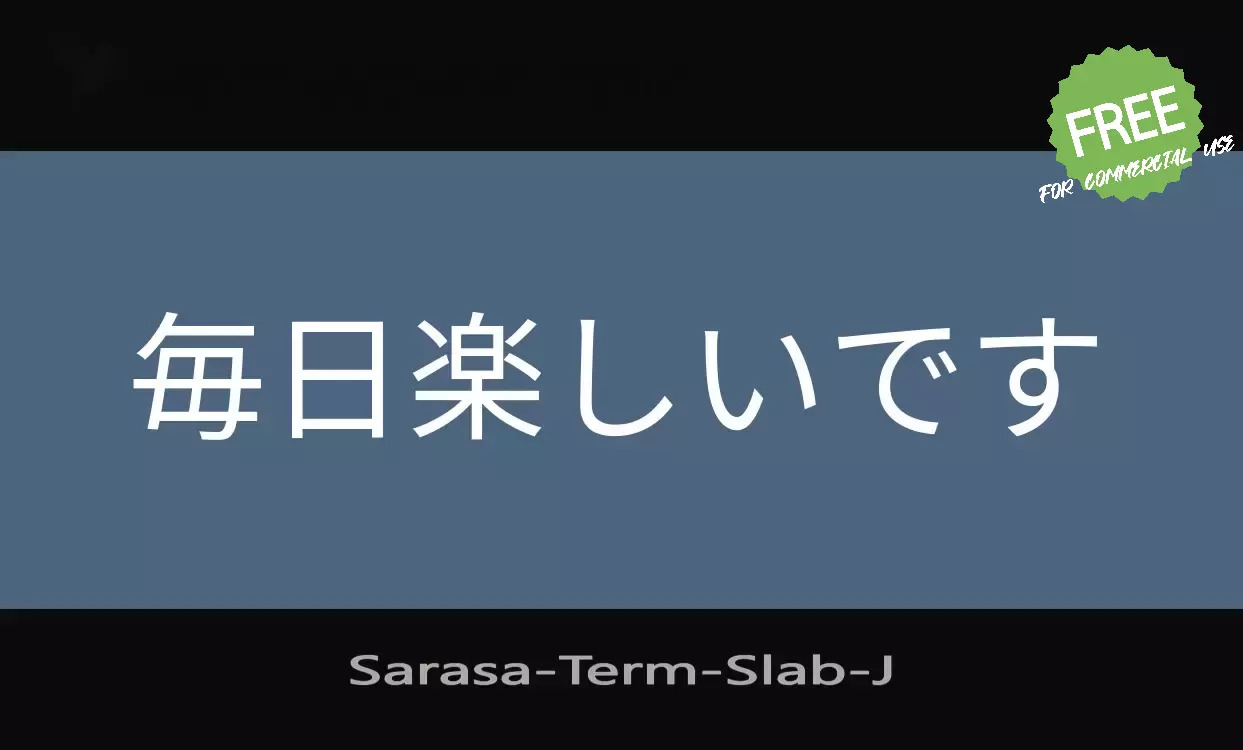 Sarasa Term Slab J Regular Font by | mostfont.com